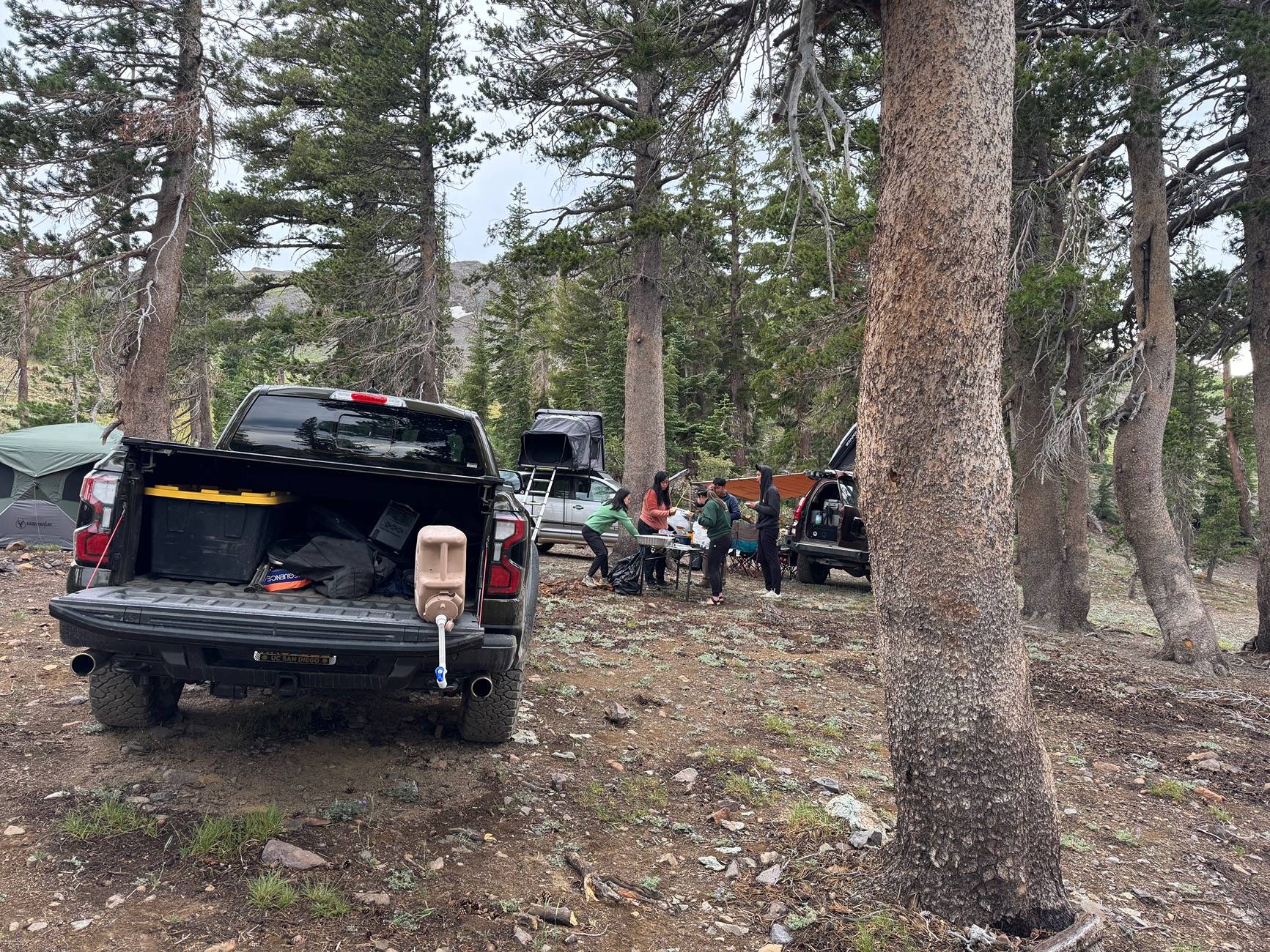 Icemilkteaa’s Shelter Green 2024 Ranger Raptor Build | Ranger6G - 2024 ...