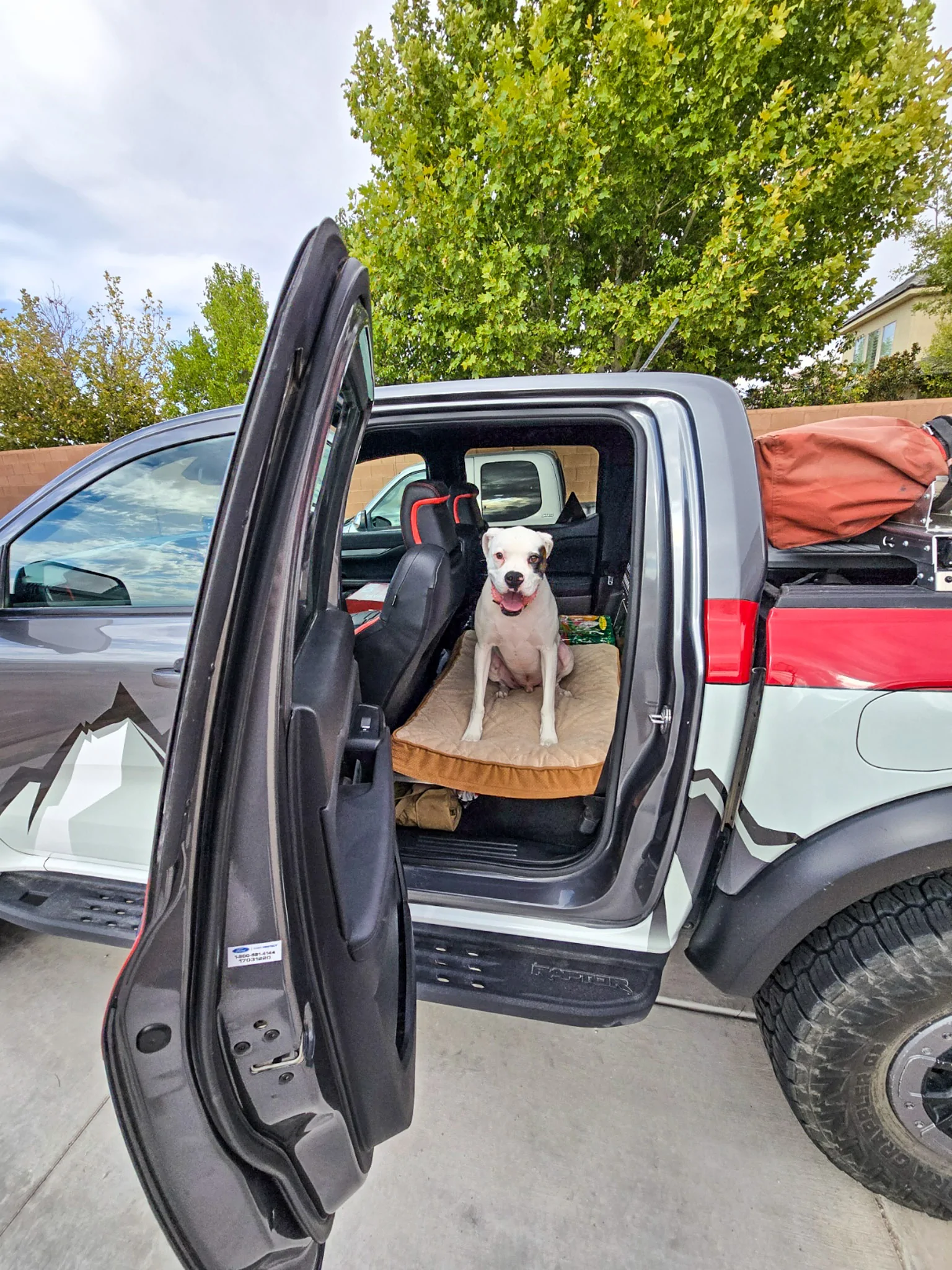 Weekend Test Run – Ranger Rear Seat Delete with Willys the Boxer ...