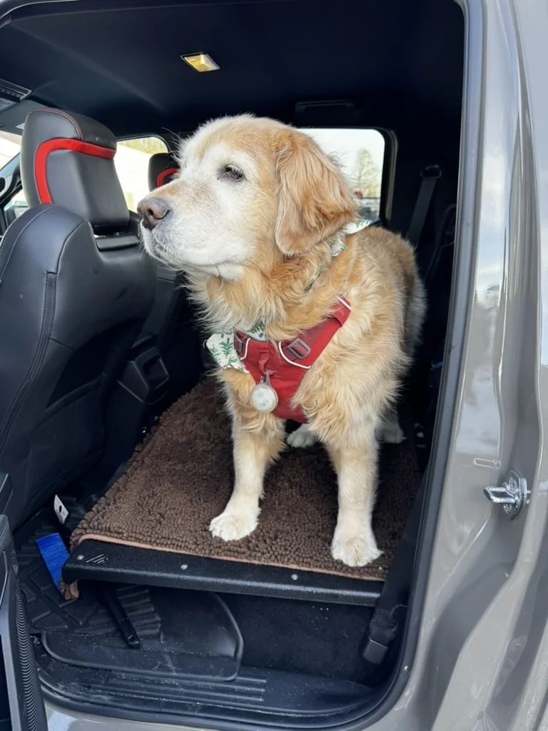 Lack of Aftermarket has me considering an F150 STX- Anyone Else ...