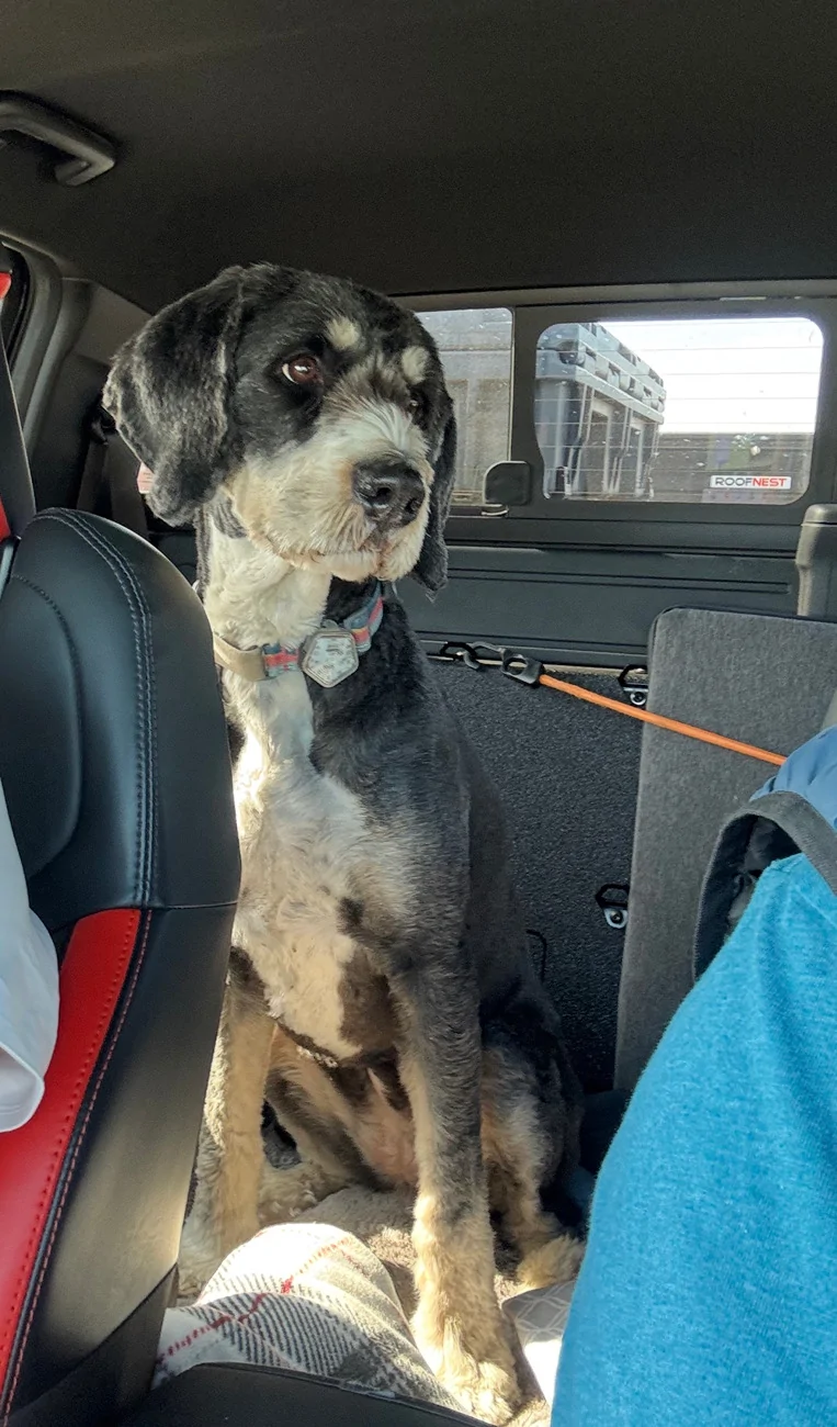 Lack of Aftermarket has me considering an F150 STX- Anyone Else ...