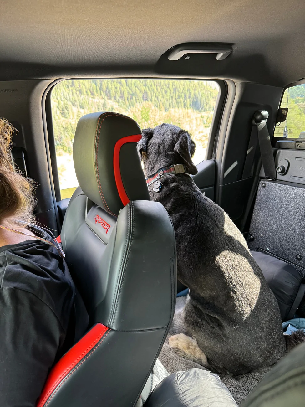 Lack of Aftermarket has me considering an F150 STX- Anyone Else ...