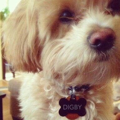 DiamondBack Tonneau Covers Now Available for 6th Gen Rangers ...